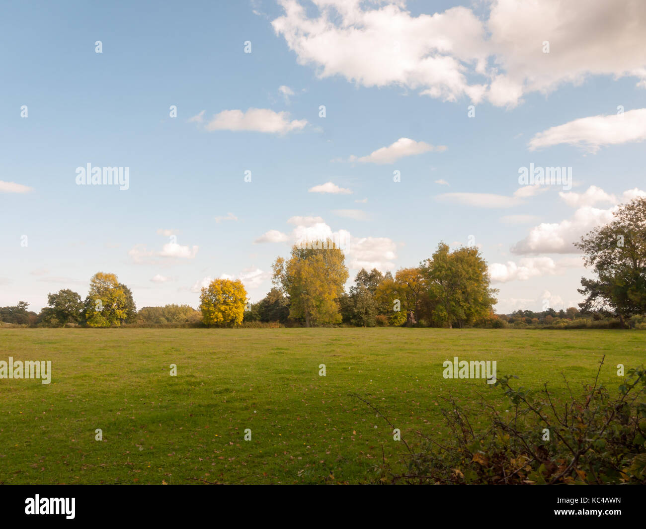 beautiful country side scene with grass lawn hills and trees day; Essex ...