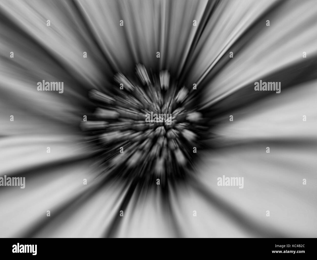 Artistic pulse Black and White Stock Photos & Images - Alamy