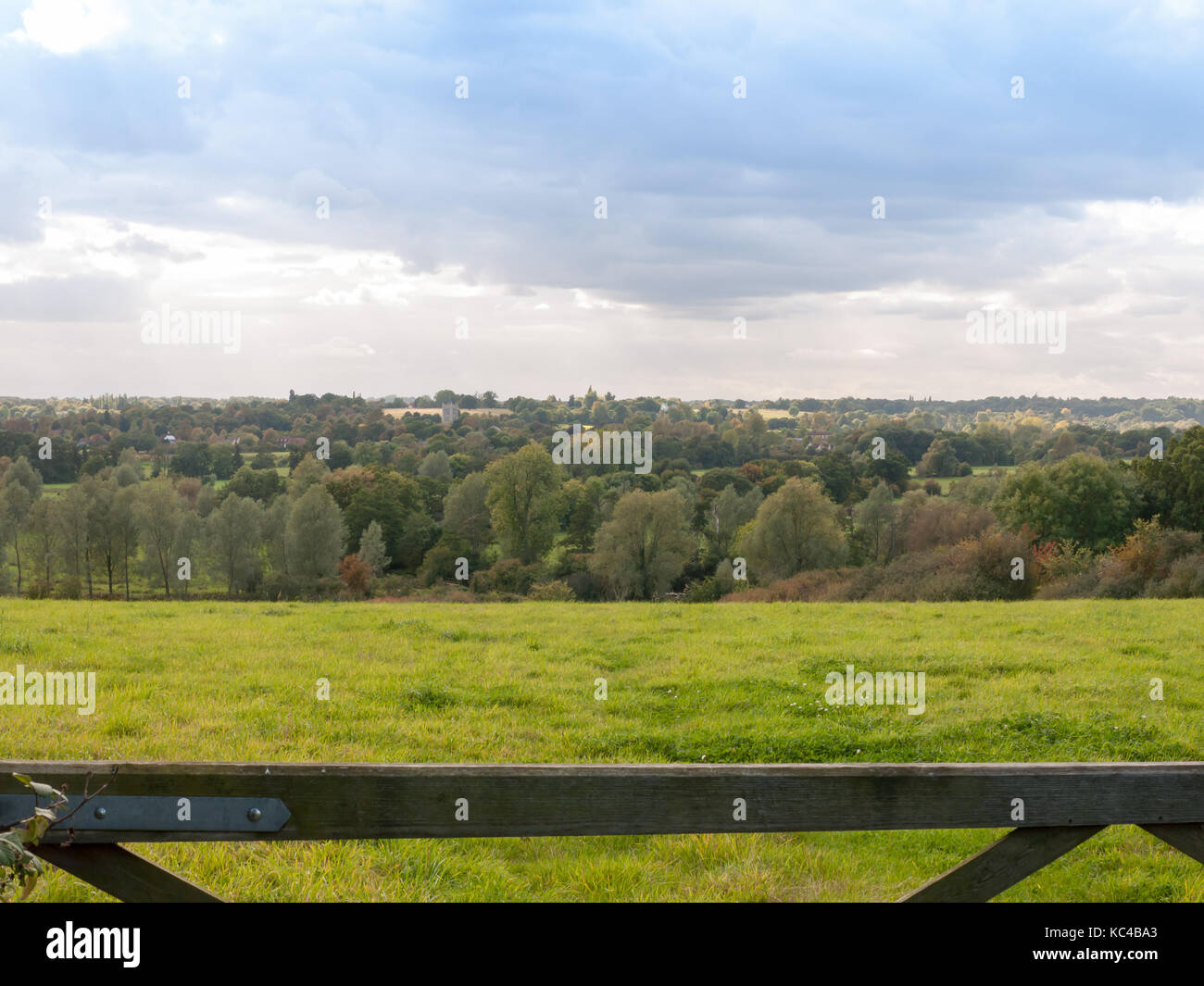 countryside hill field above wooden gate with trees and sky; Essex ...