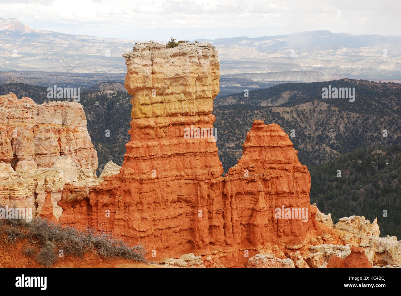 Hoodoos at Bryce Canyon, Utah, USA Stock Photo - Alamy