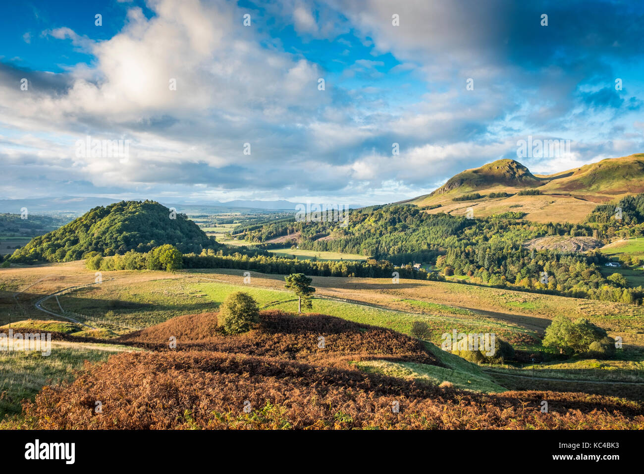 Dumgoyne Hill Campsie Hills Strathblane nr Glasgow Scotland Stock Photo ...