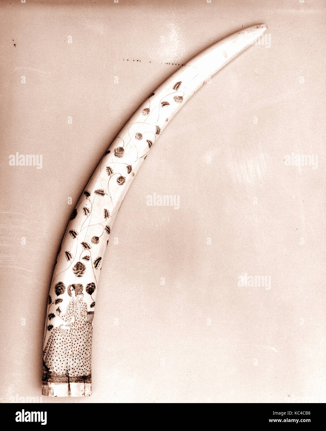 Natural substances ivory hi-res stock photography and images - Alamy