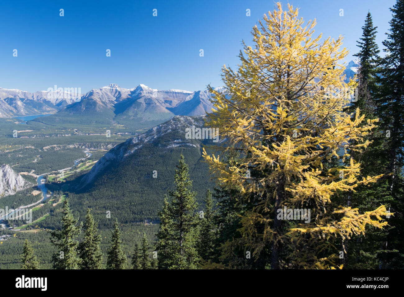Bow River from Sulphur Mountain Banff Canada Stock Photo - Alamy