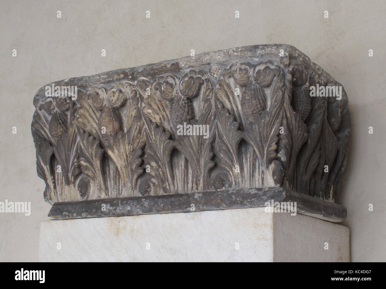 Acanthus Leaf Architecture