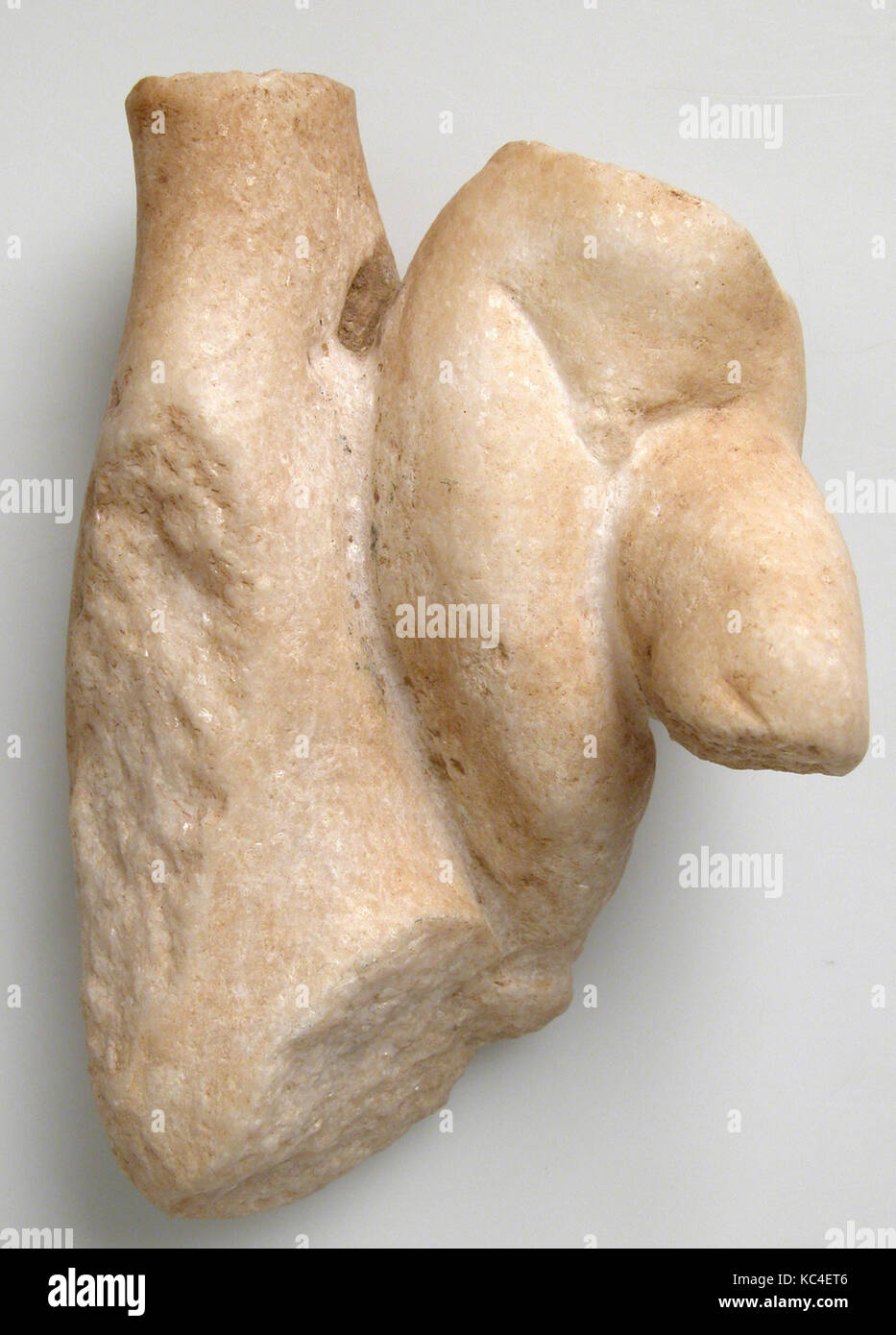 Fragment of a Male Torso with a Tree Trunk, 4th–7th century Stock Photo ...