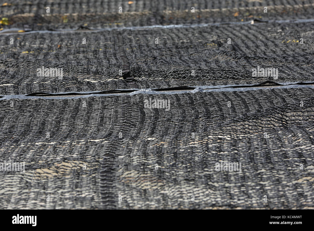 Westminster. London, UK. 2nd Oct, 2017. Police officers lays steel ...