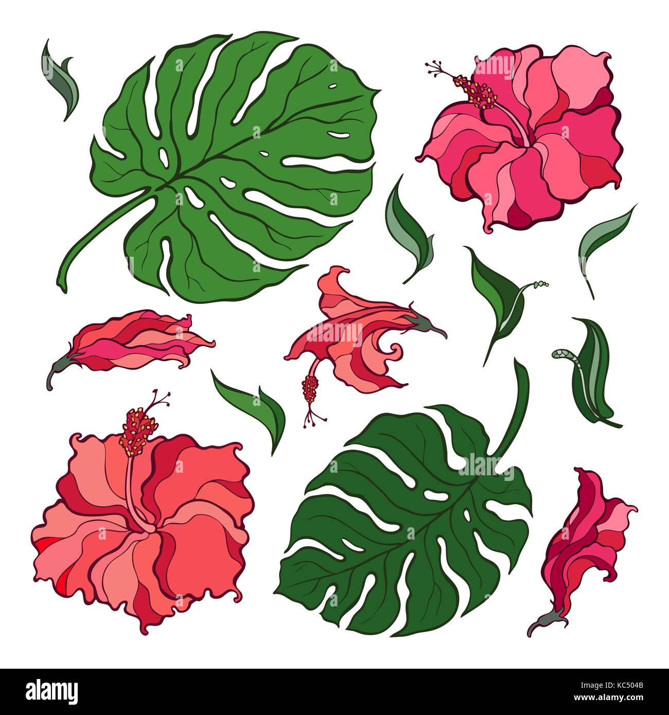 Bright red tropical flower Stock Vector Images - Alamy