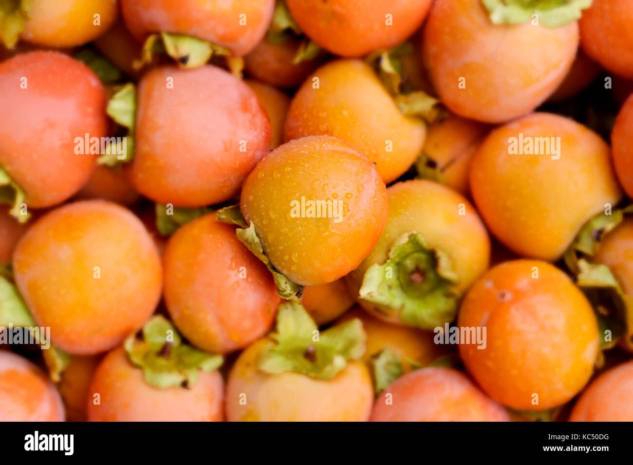 closeup of a pile of ripe persimmons after the harvesting Stock Photo ...