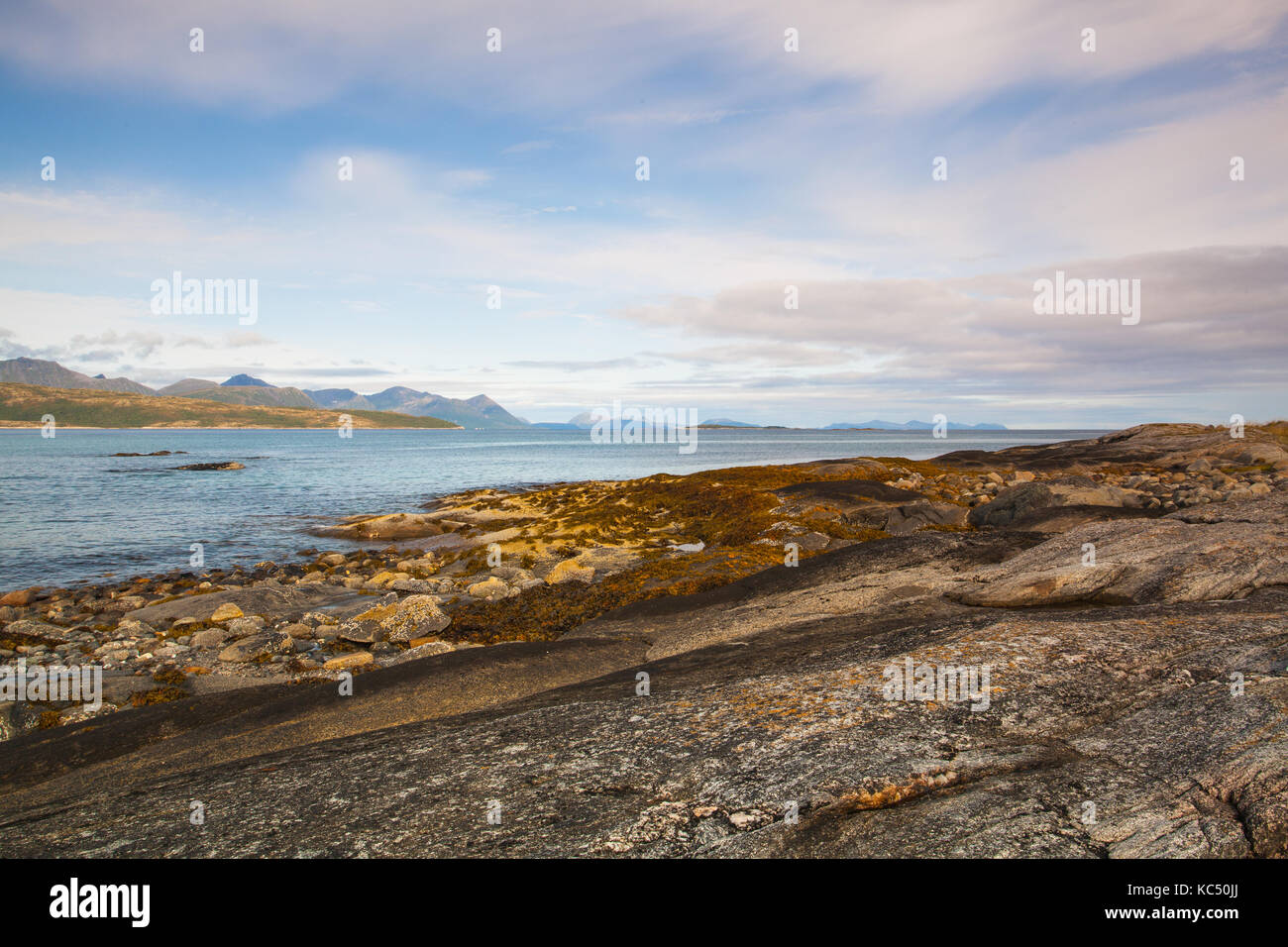 On the dramatic coast in Norway Stock Photo - Alamy
