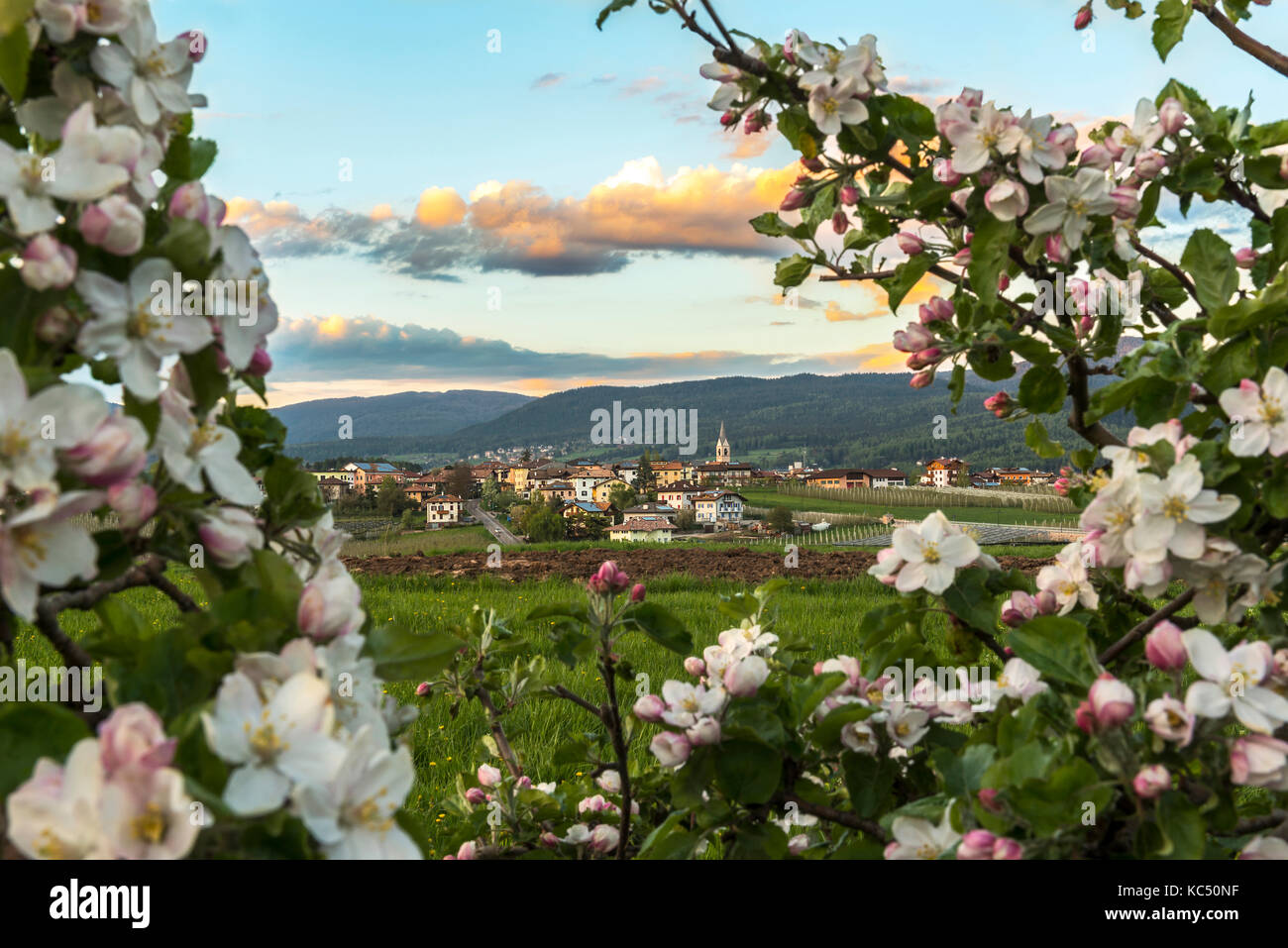 Tipical alpine village hi-res stock photography and images - Alamy