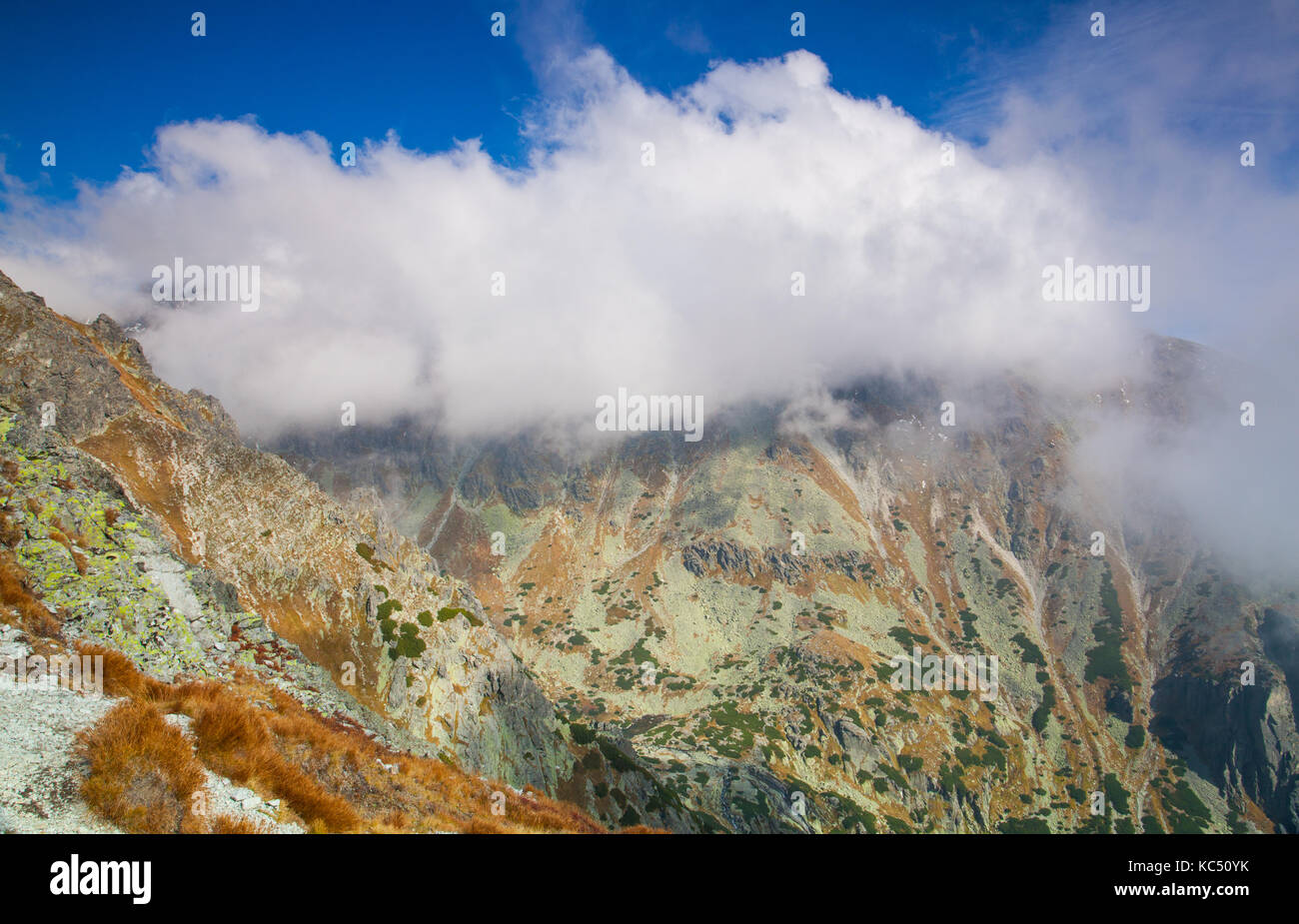 Vysoke tarty hi-res stock photography and images - Alamy