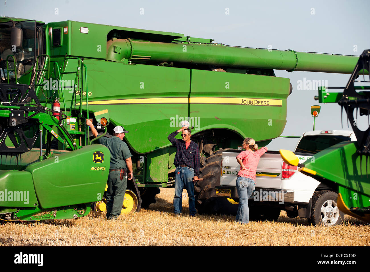 Heading out wheat hi-res stock photography and images - Alamy