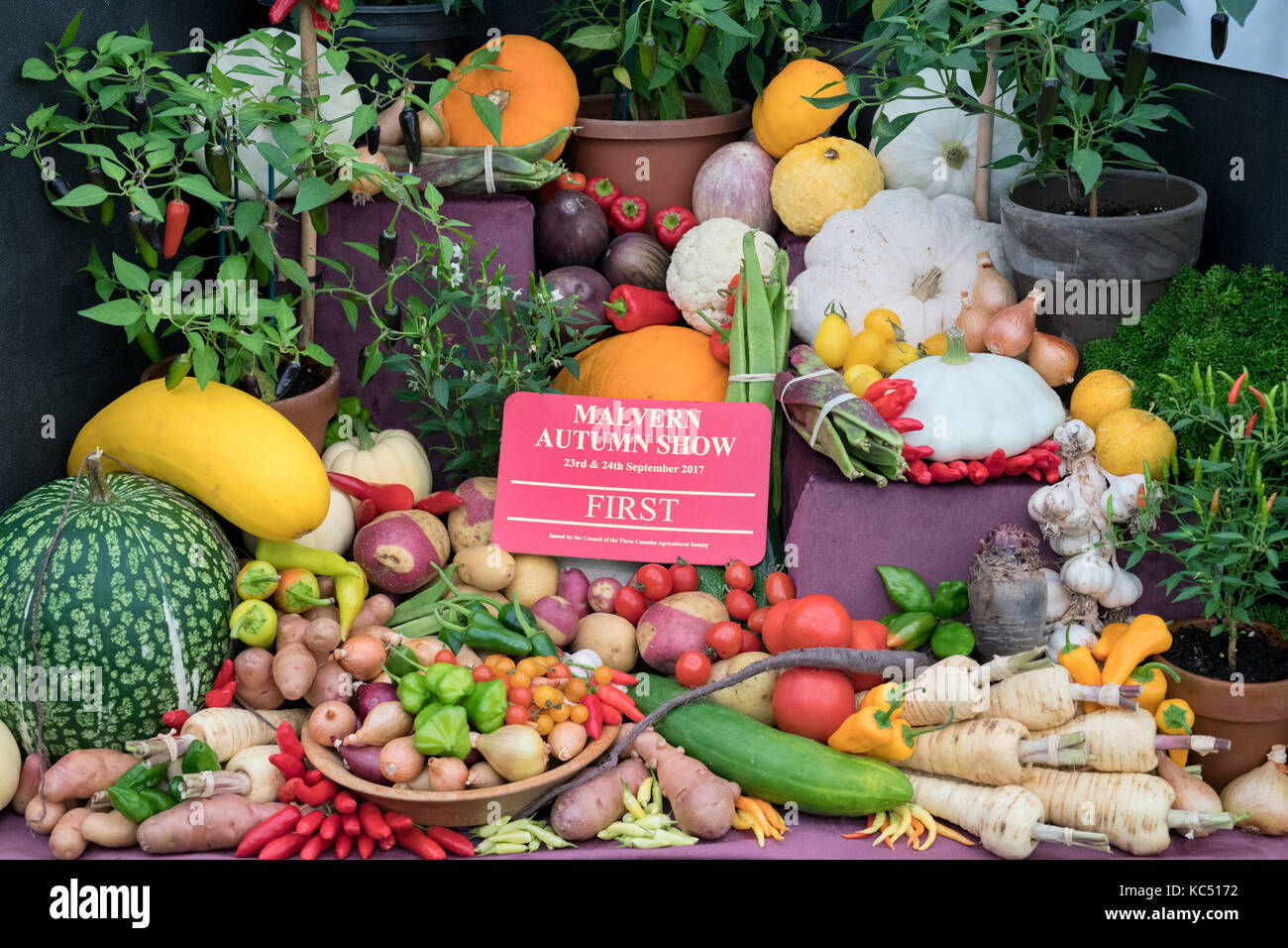 Vegetable and fruit display with a first prize award at the Malvern ...