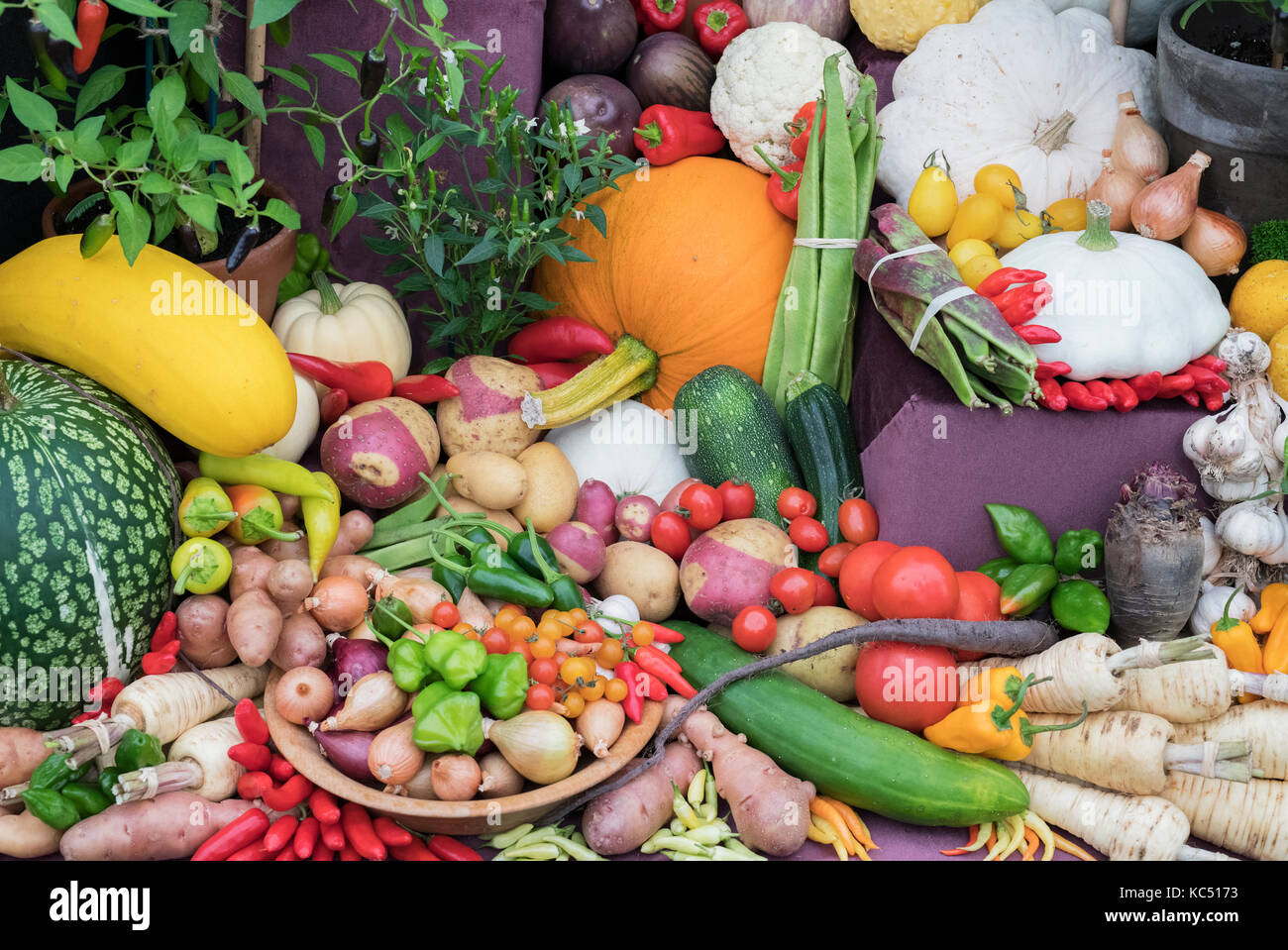 Vegetable and fruit display at the Malvern Autumn Show, Worcestershire ...