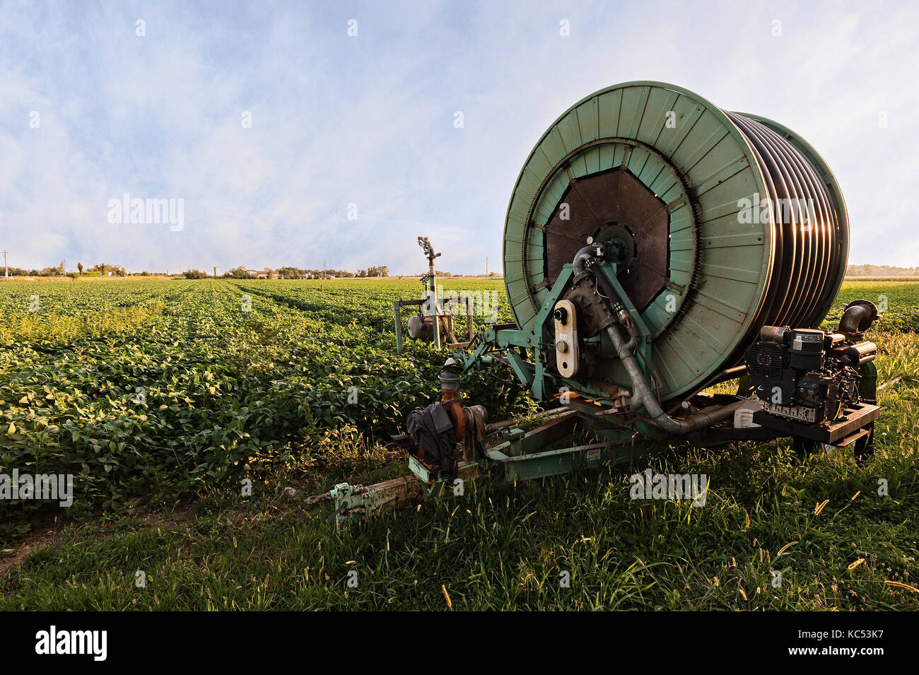 Soybean field at sunset with irrigation system Stock Photo - Alamy