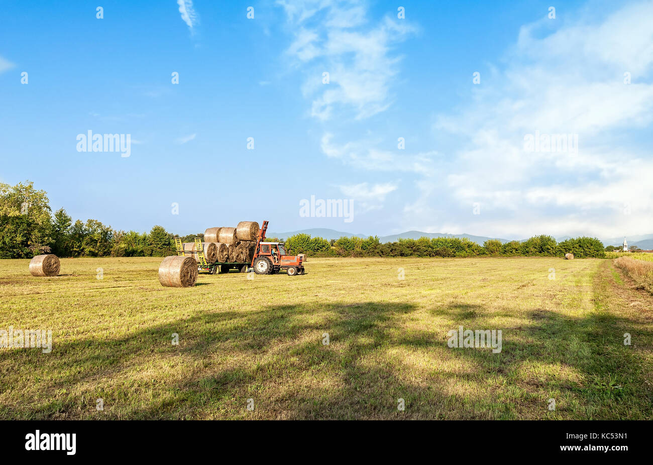 Agricultural scene. Tractor collecting hay bales in field and loading ...