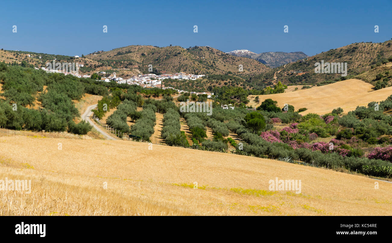 Landscape, Riogordo, Comares, Axarquia, Province of Malaga, Andalusia ...