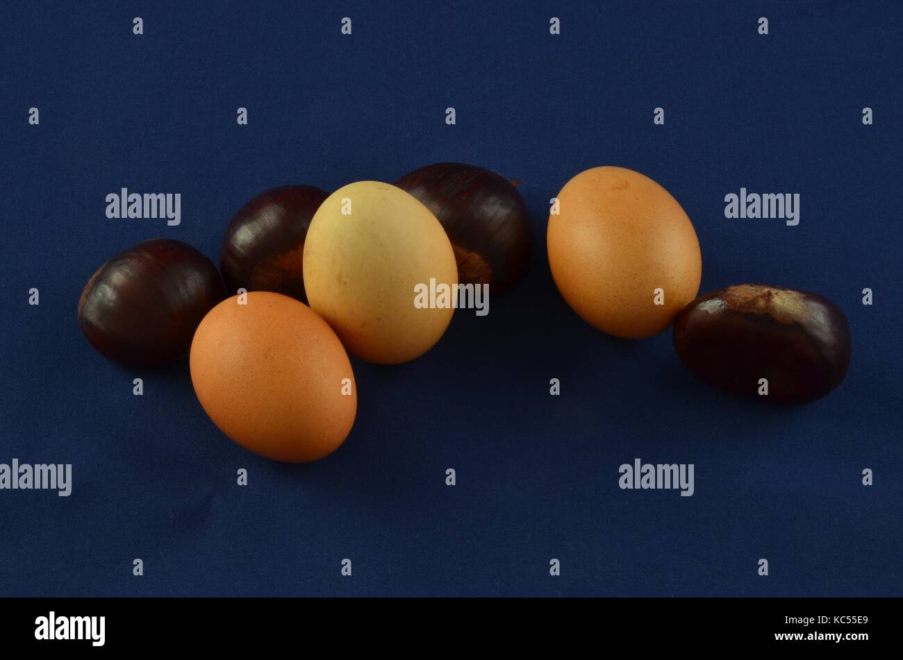 Fresh chestnuts with blu background and eggs Stock Photo - Alamy