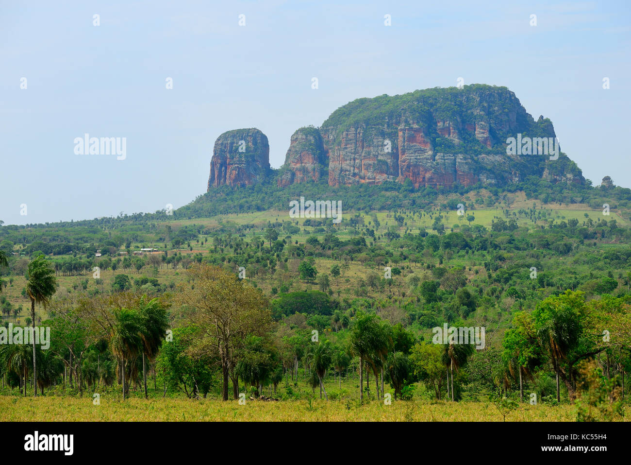 Typical landscape with rock formation Cerro Memby in the background ...