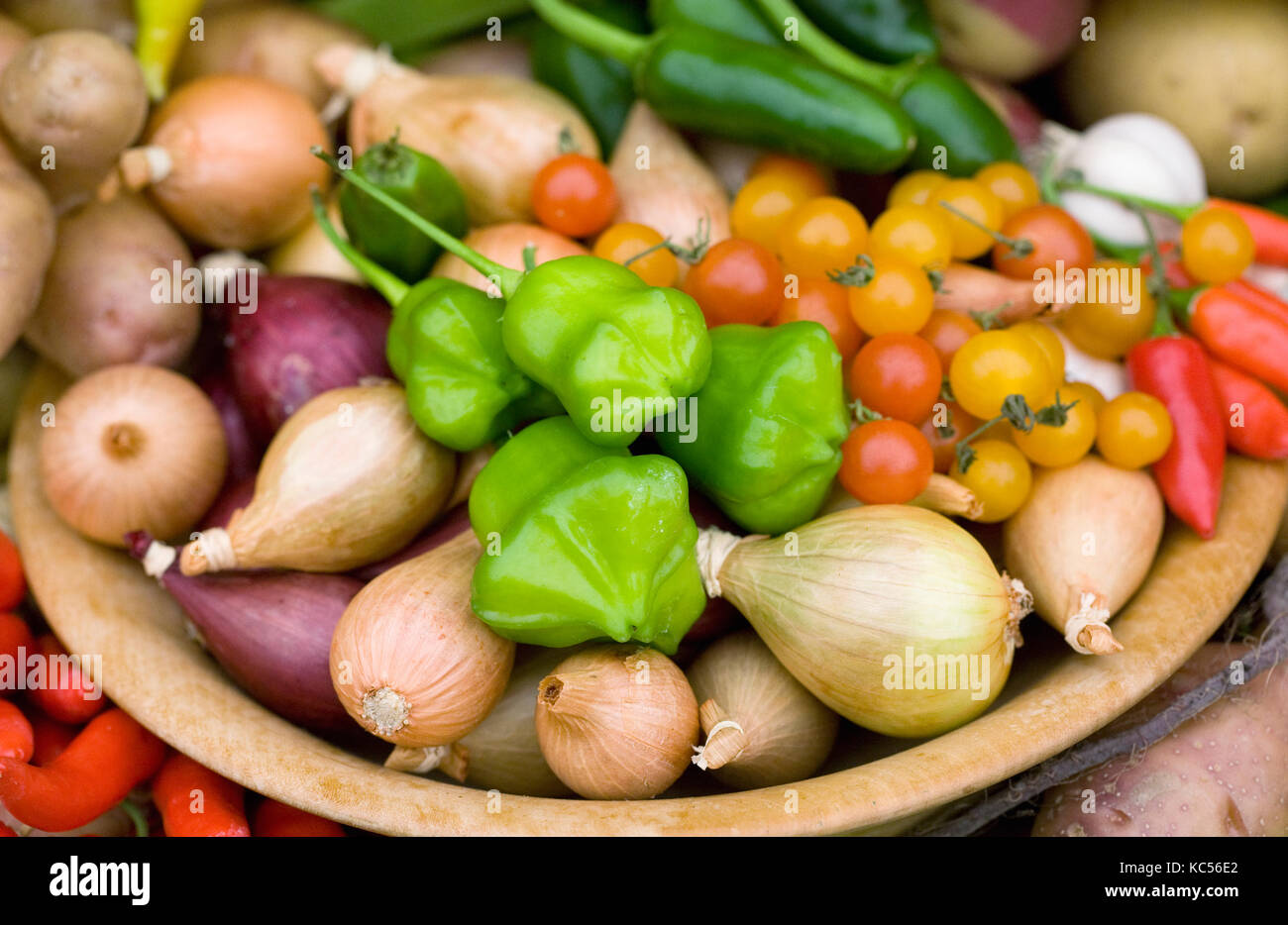 Autumn vegetable harvest uk garden hi-res stock photography and images ...