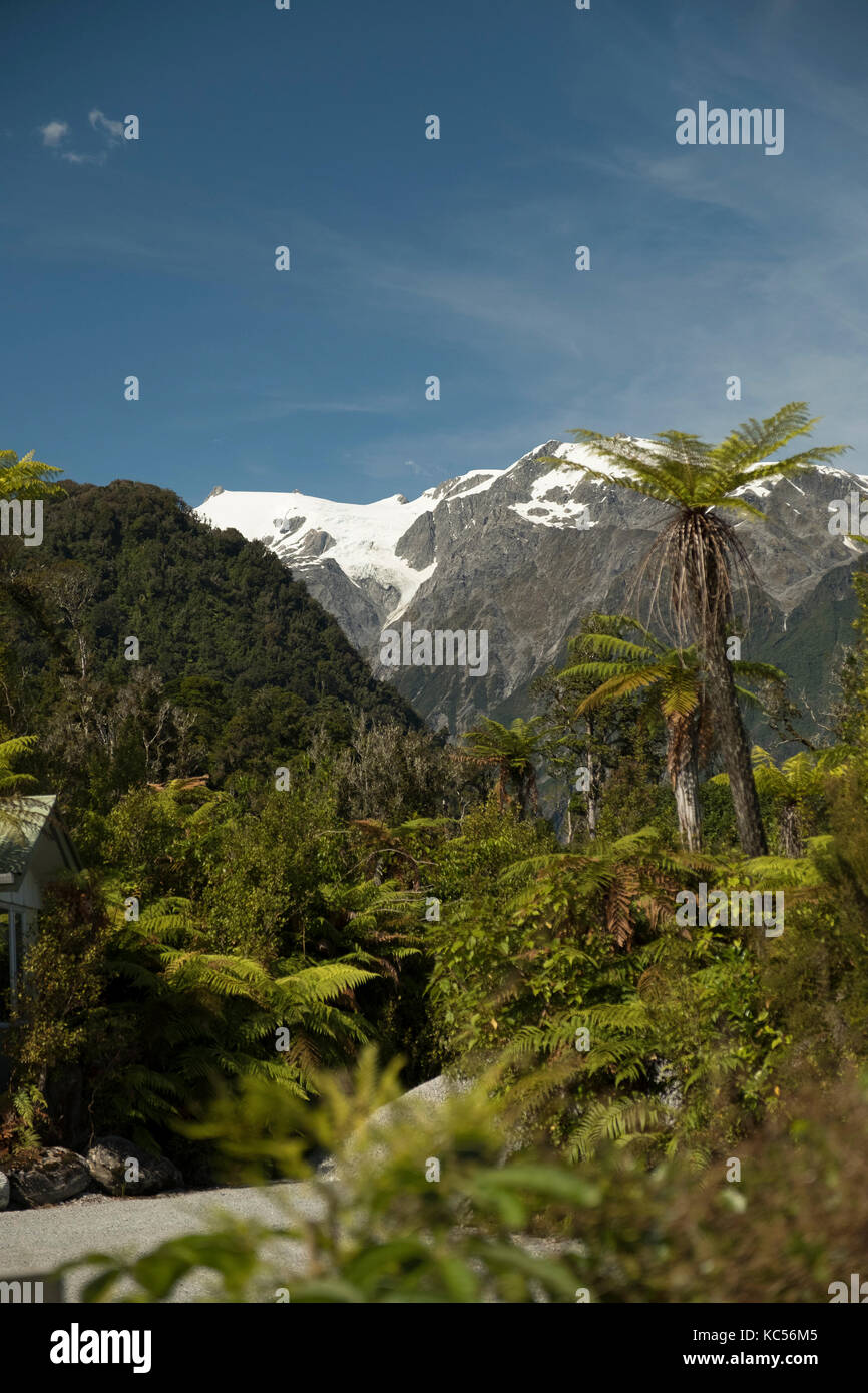 Palm Frans High Resolution Stock Photography and Images - Alamy