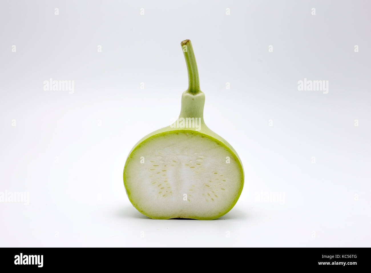 slice fresh green gourd on white background Stock Photo - Alamy