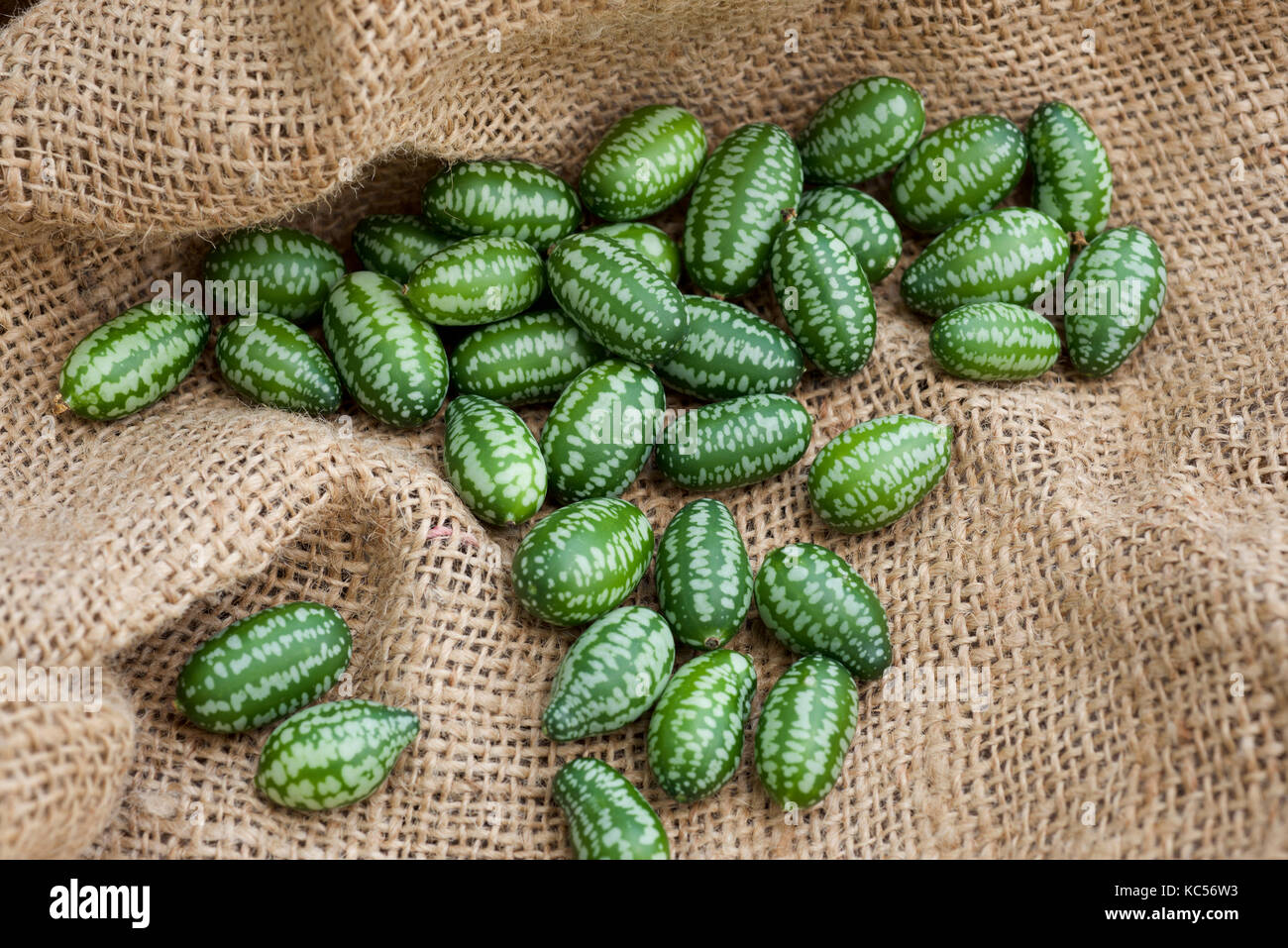 Cucamelon fruit, also known as Mexican gherkins, Mexican sour cucumbers ...