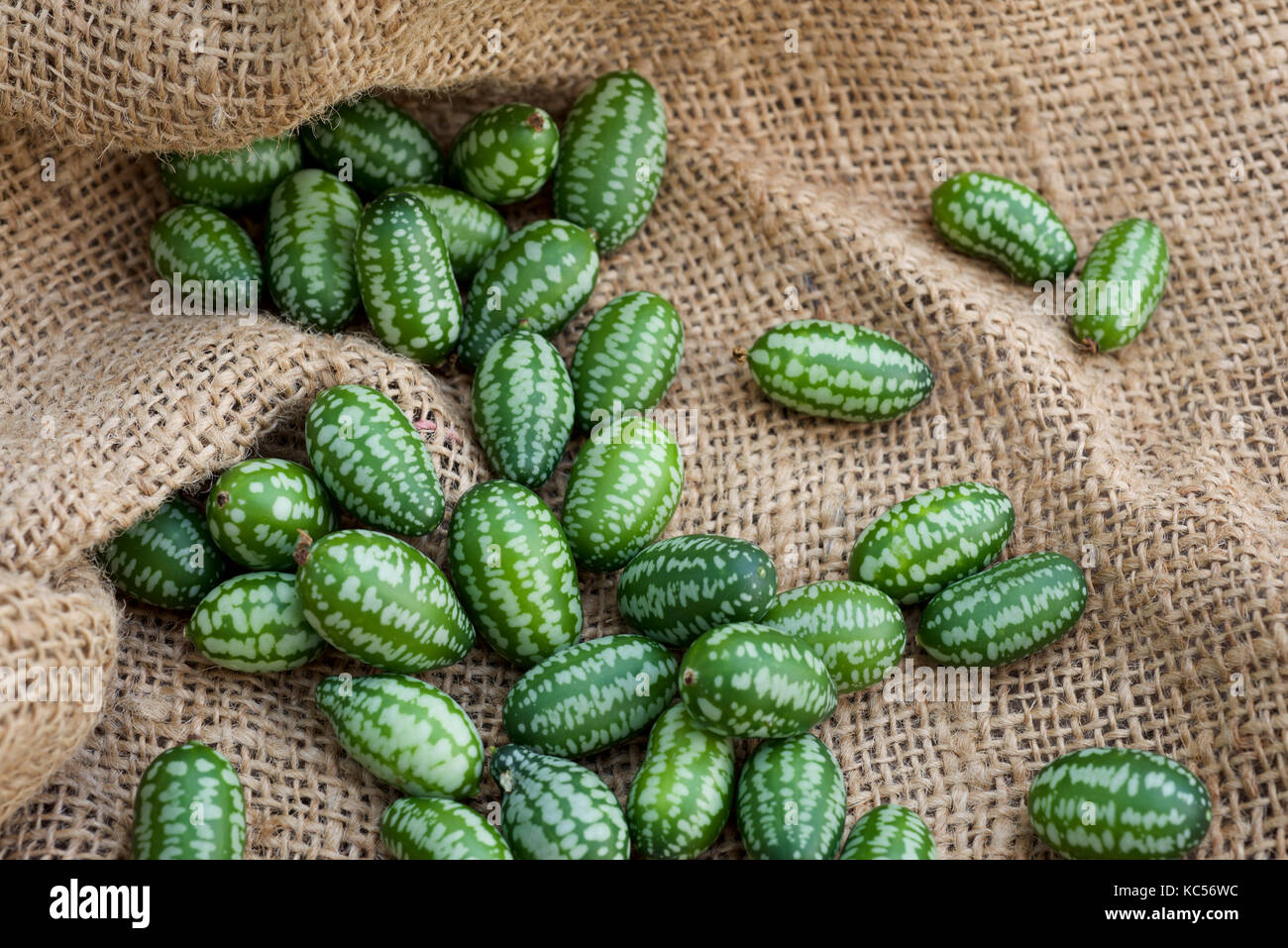 Cucamelon fruit, also known as Mexican gherkins, Mexican sour cucumbers ...