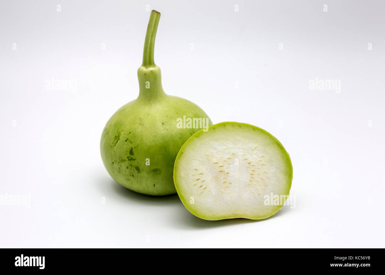 slice fresh green gourd on white background Stock Photo - Alamy