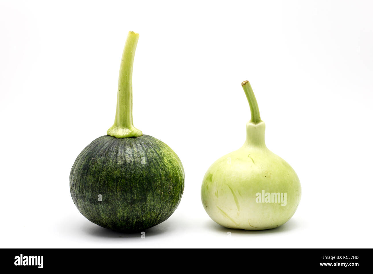 close up green pumpkin and gourd on white isolate background Stock ...