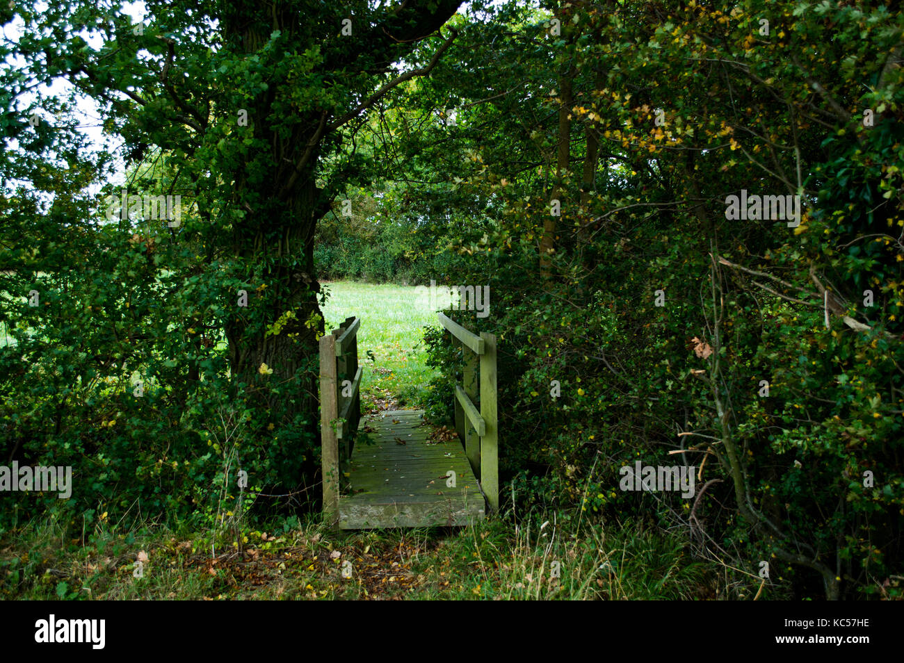 Environmental footpath High Resolution Stock Photography and Images - Alamy