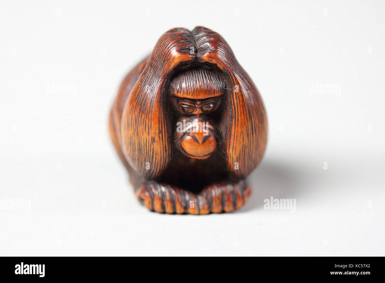 Monkey scratching head hi-res stock photography and images - Alamy