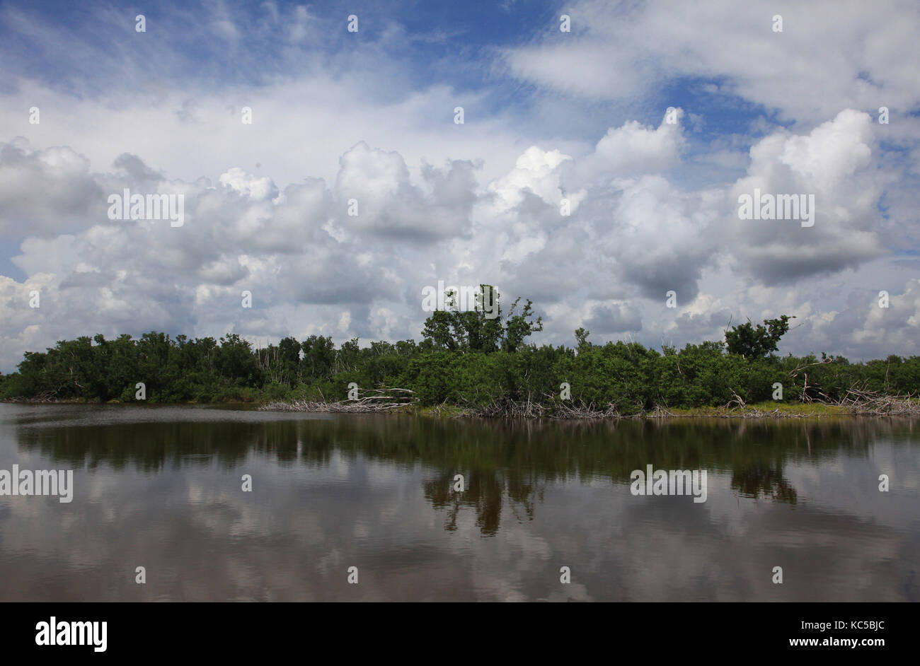 Everglades Sawgrass Sunset High Resolution Stock Photography and Images ...