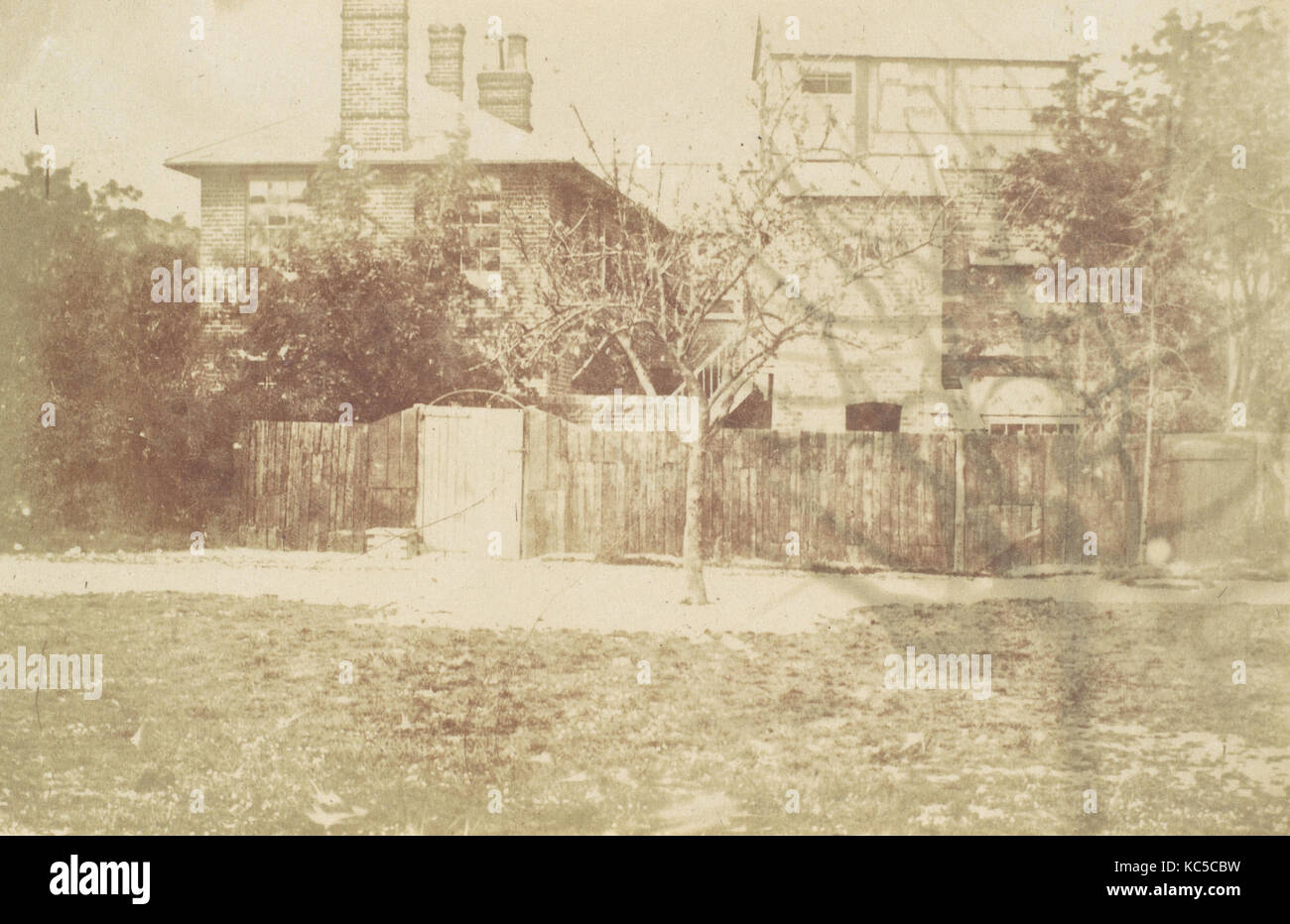 Tree in Yard, 1850s, Salted paper print from paper negative ...