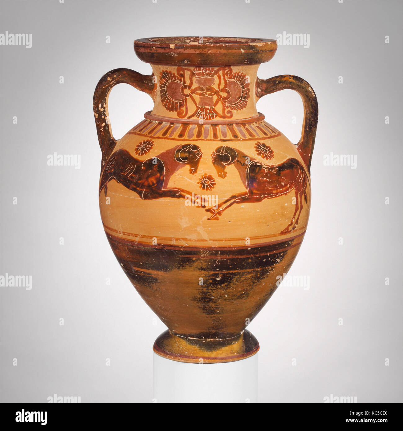 Neck amphorae hi-res stock photography and images - Alamy