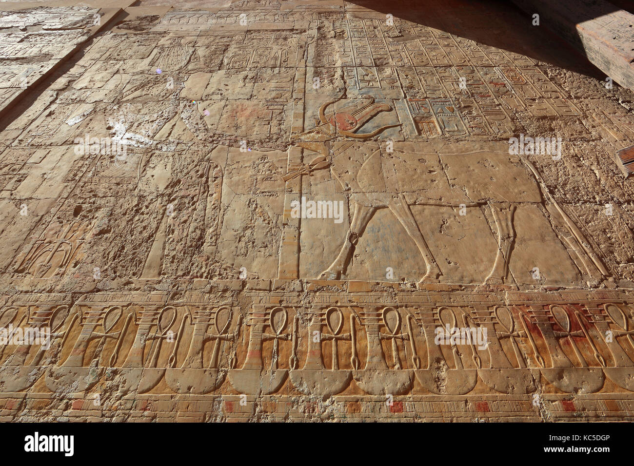 Deir el-Bahari or Dayr al-Bahri, engravings on a wall at the mortuary ...