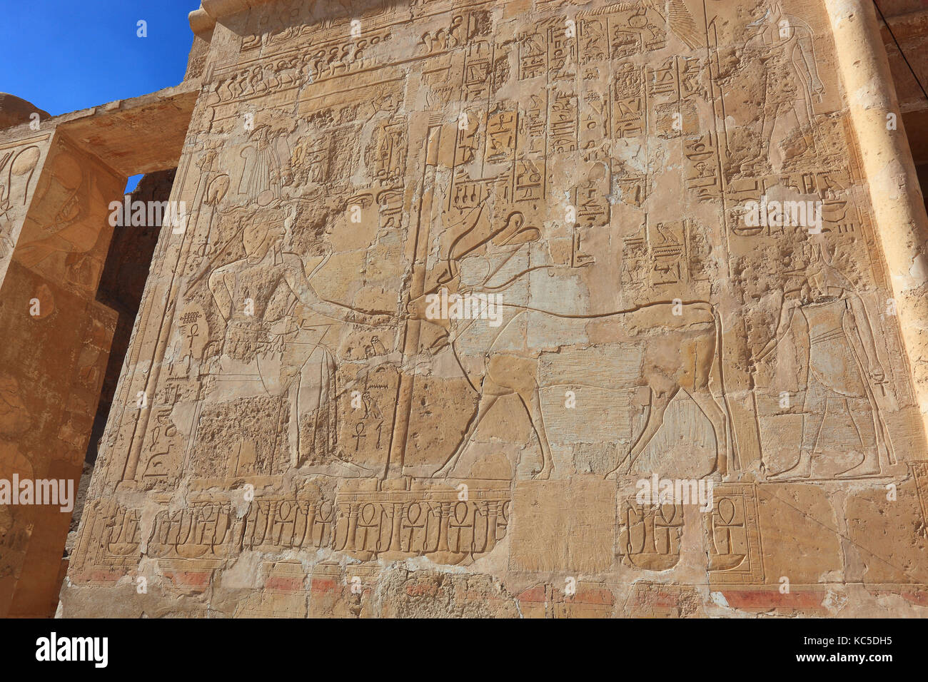 Deir el-Bahari or Dayr al-Bahri, Part of the temple, engravings on a ...