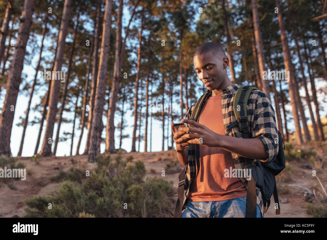 Young African man using gps while hiking in a forest Stock Photo - Alamy