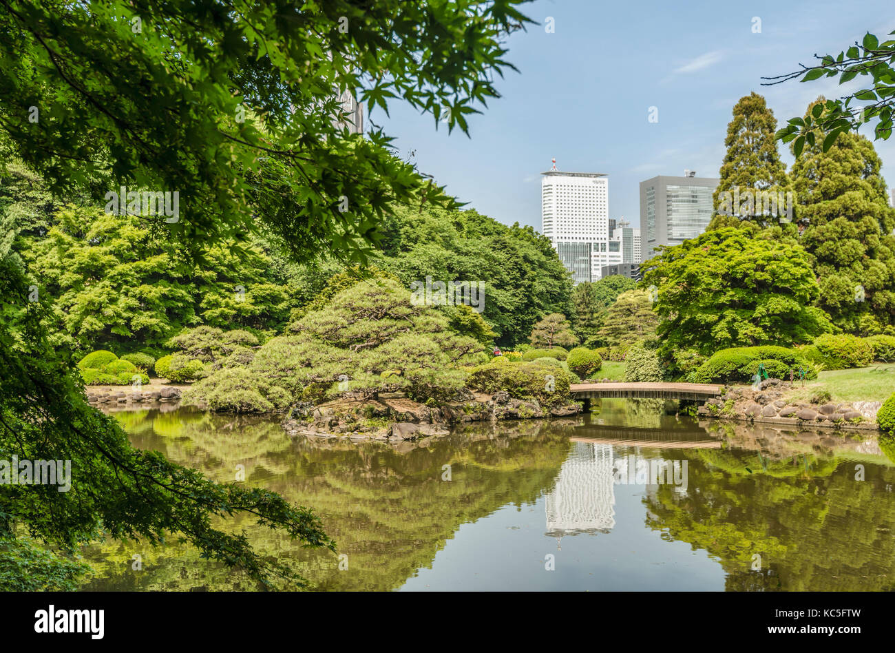 Japanese Garden at Shinjuku Gyoen National Garden, Tokyo, Japan Stock ...