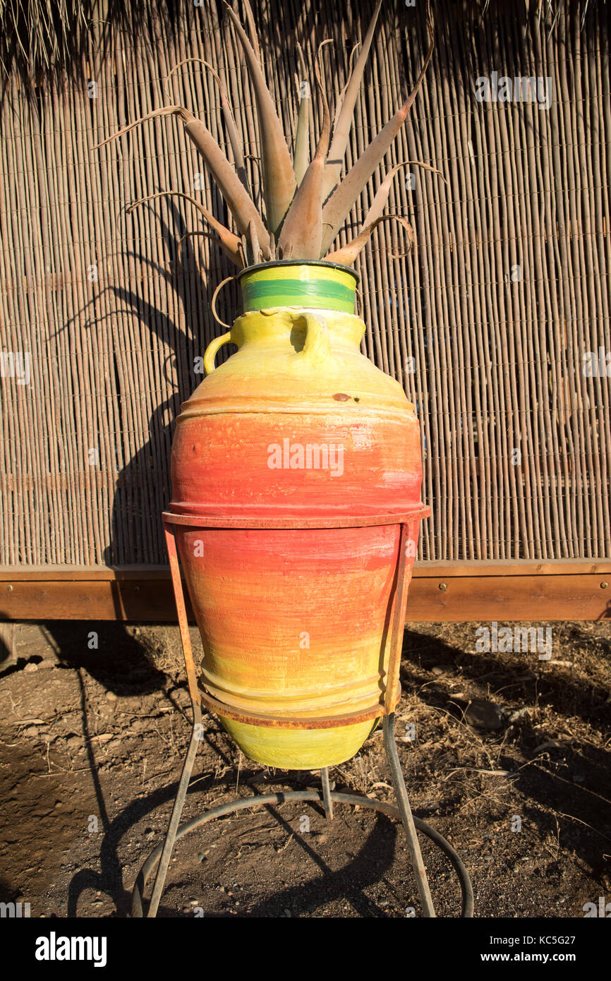 Greek Pot Plant Stock Photos & Greek Pot Plant Stock Images - Alamy
