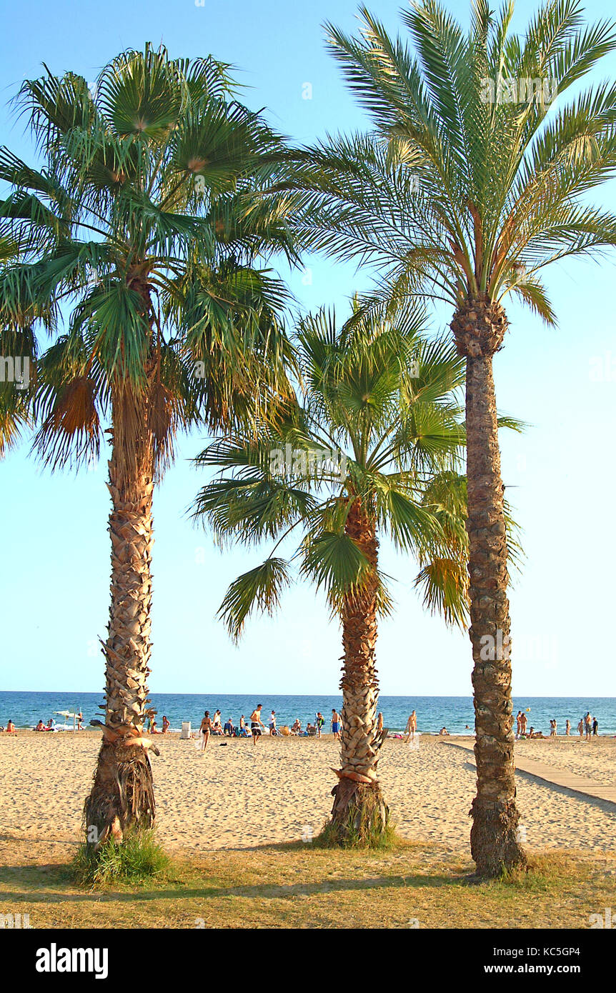 Salou Beach Spain Stock Photos & Salou Beach Spain Stock Images - Alamy