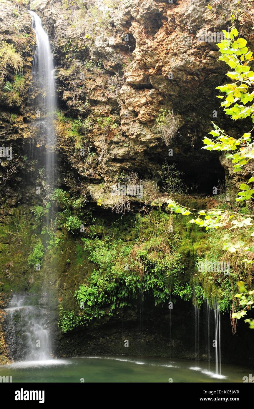 Dripping Springs Falls, Natural Falls State Park Stock Photo - Alamy