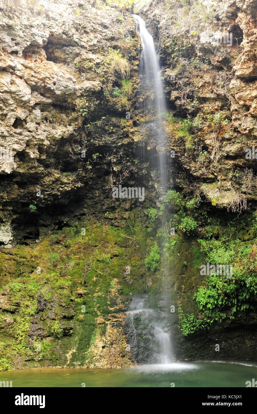 Dripping Springs Falls, Natural Falls State Park Stock Photo - Alamy