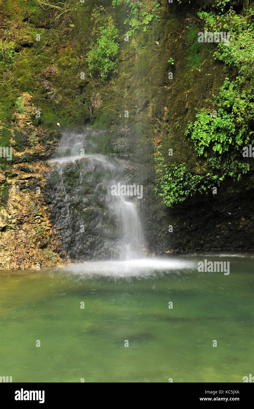 Dripping Springs Falls, Natural Falls State Park Stock Photo - Alamy