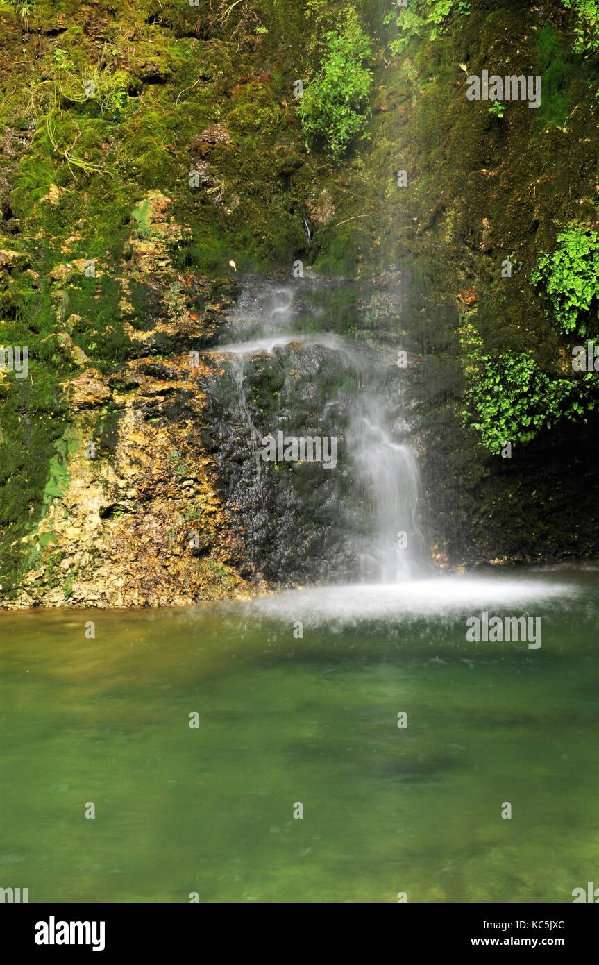Dripping Springs Falls, Natural Falls State Park Stock Photo - Alamy