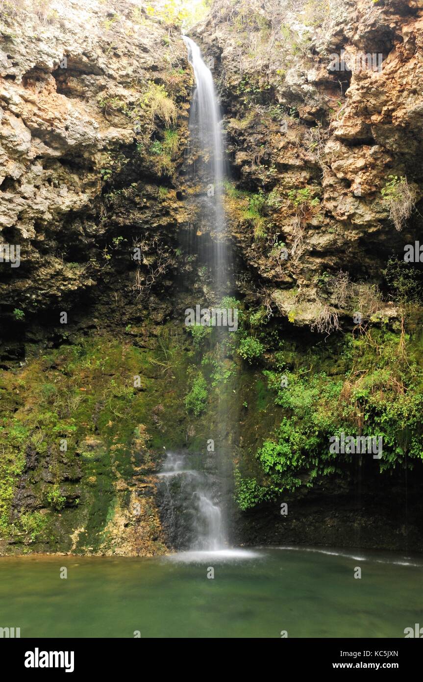 Dripping Springs Falls, Natural Falls State Park Stock Photo - Alamy