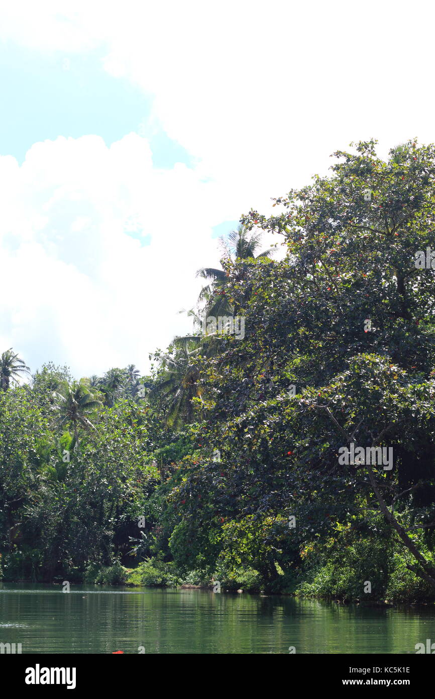 Beautiful Manus Island, Papua New Guinea Stock Photo - Alamy