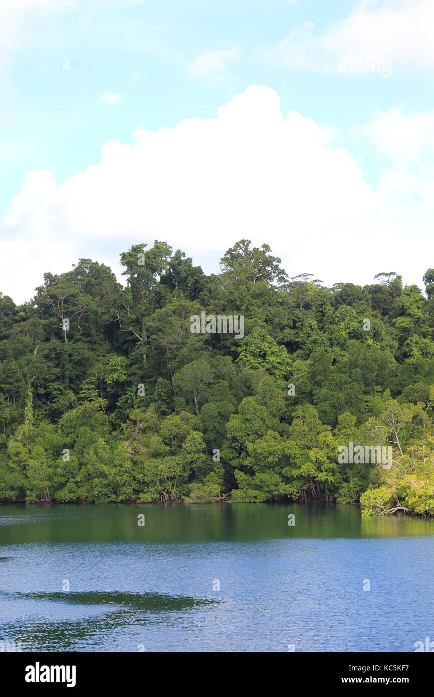 Coconut island papua new guinea hi-res stock photography and images - Alamy