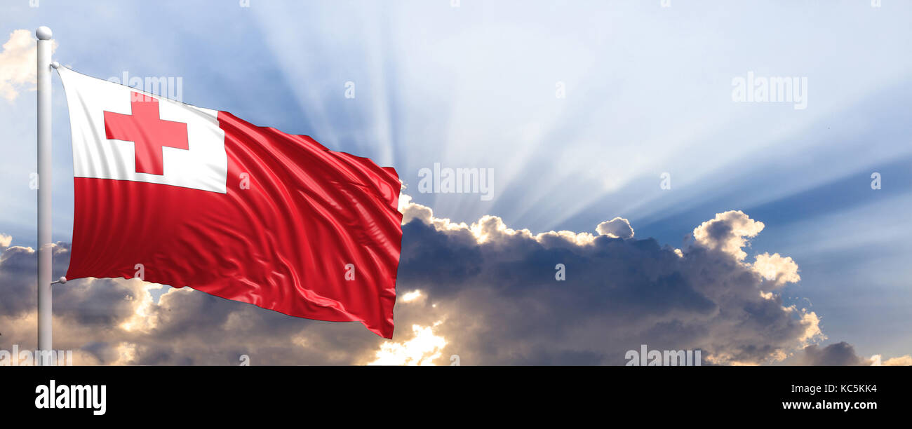 Tonga waving flag on blue sky. 3d illustration Stock Photo - Alamy