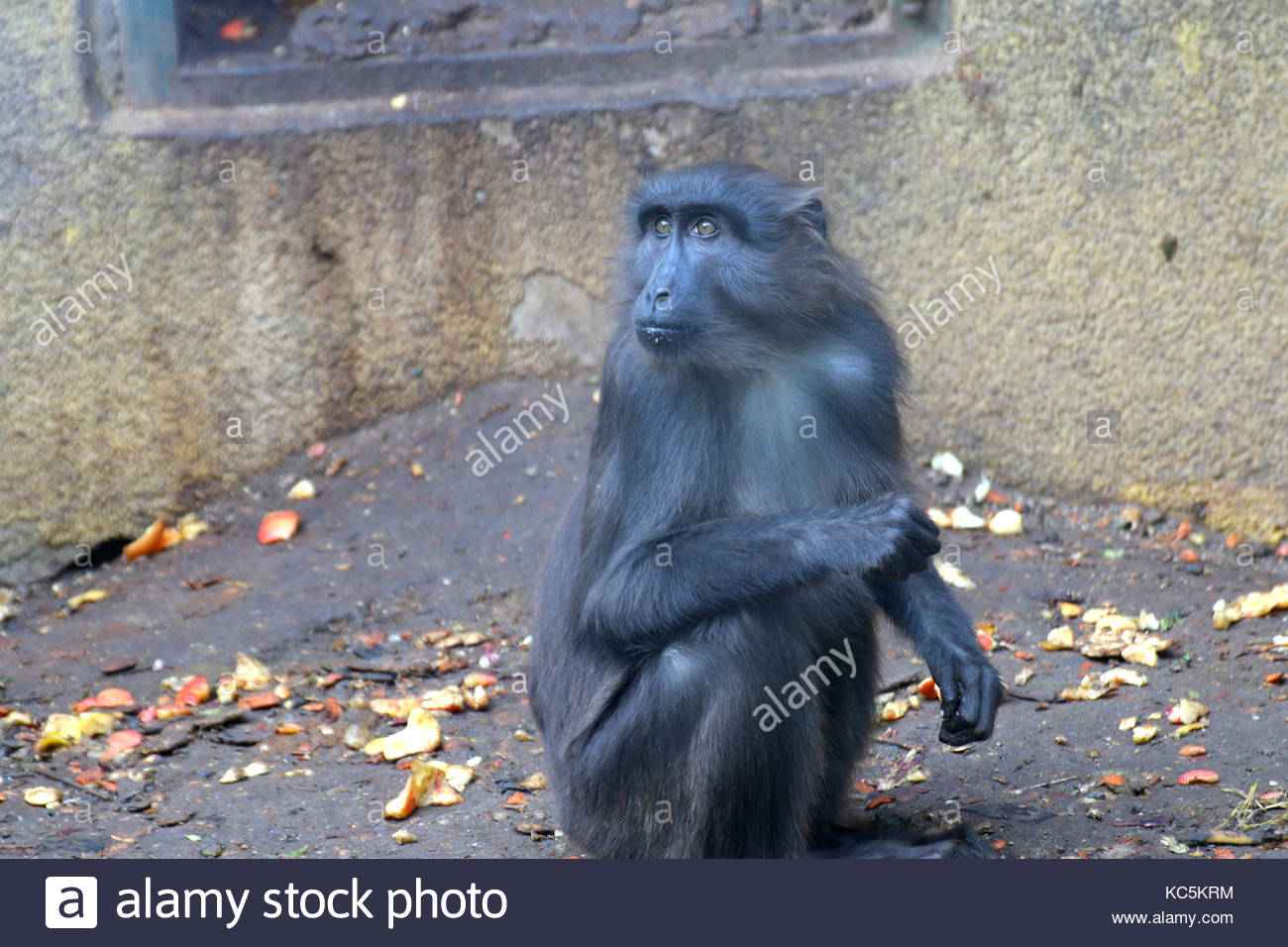 Maura Stock Photos & Maura Stock Images - Alamy